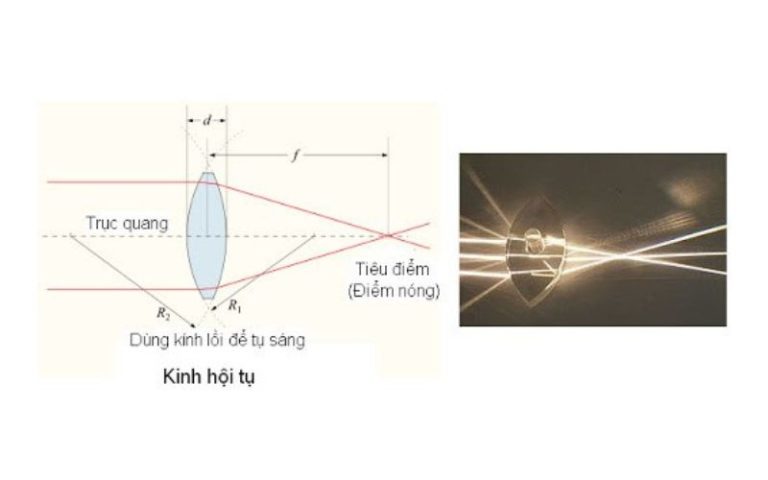 Cấu tạo và nguyên lý hoạt động của kính lúp như thế nào?